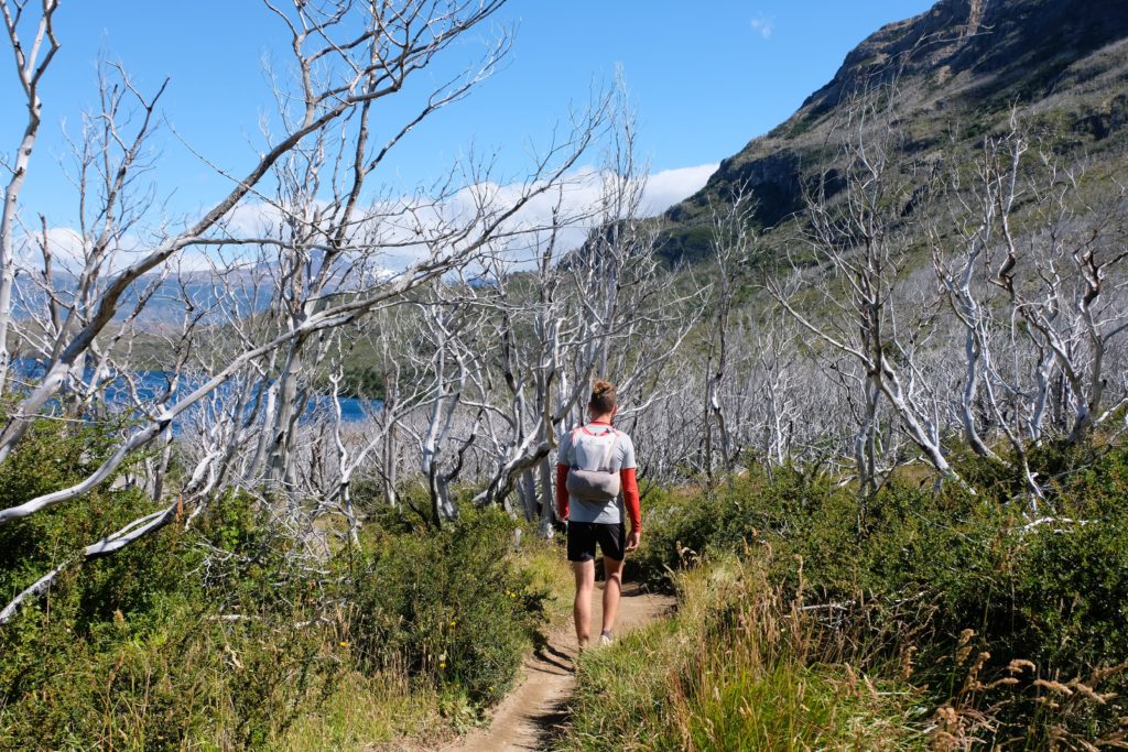 Torres Del Paine – Without the W Hike | Guidiary